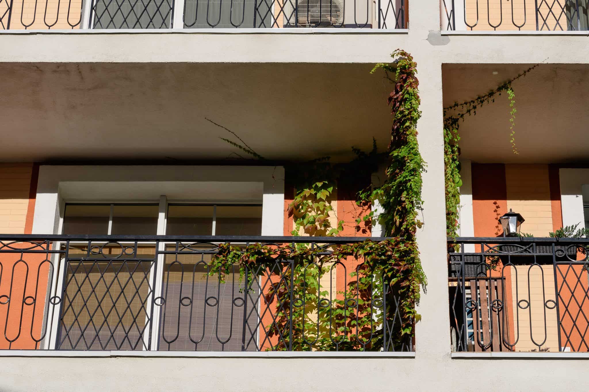 How to Grow and Maintain Real Grass on a Balcony - Balcony Boss