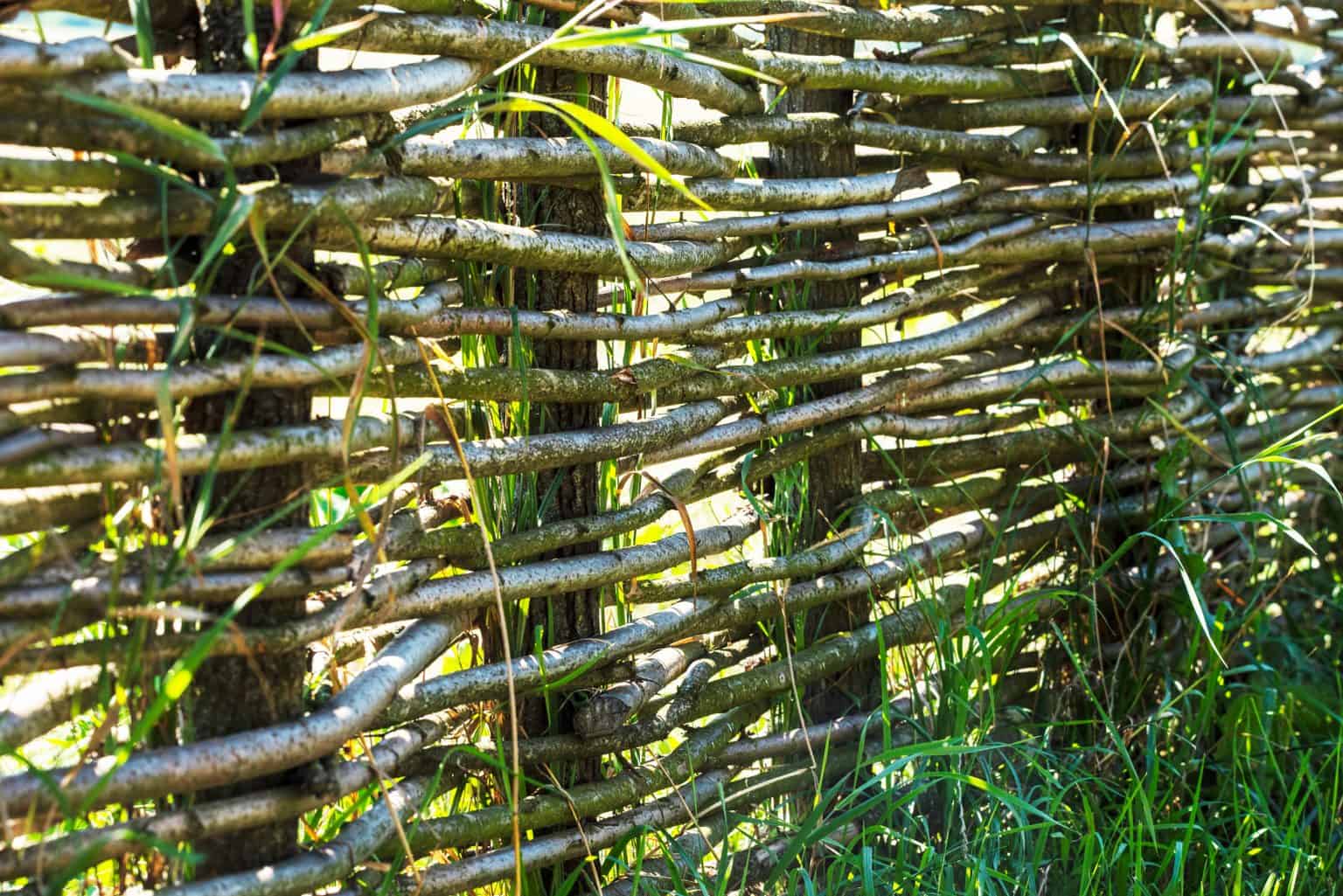 12 Outdoor Privacy Screen Ideas - Balcony Boss