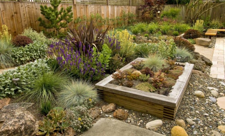 5 Unique Rainscaping Ideas for Your Outdoor Space - Balcony Boss