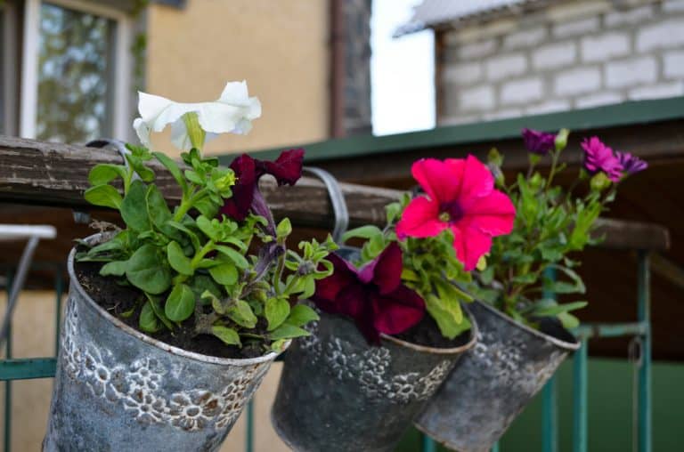 Balcony Planters 101: Everything to Know - Balcony Boss