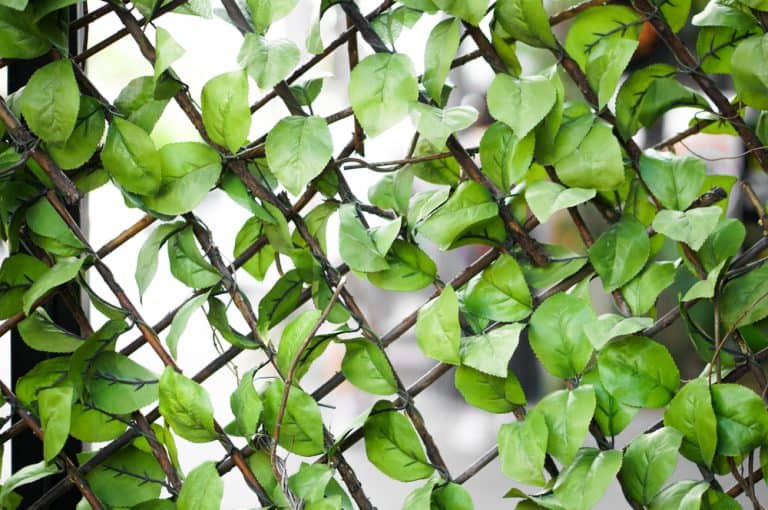 9 Best Fence Toppers for Privacy (for all types of outdoor spaces ...