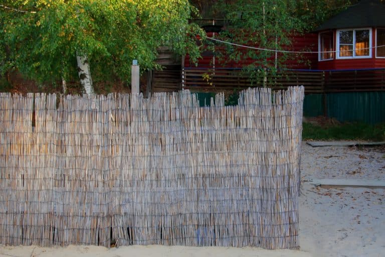 Everything to Know About Reed Fencing - Balcony Boss