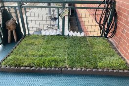 DIY Balcony Dog Potty Areas with Real Grass - Balcony Boss