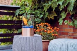 Windy Balcony? These Plants and Plant Pots are for You - Balcony Boss