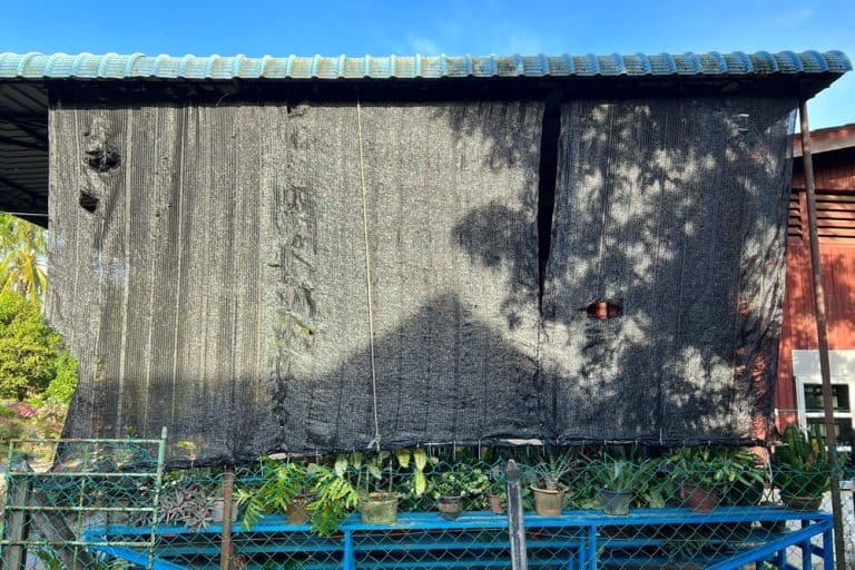 8 Ways to Create Shade for Plants (and Why) - Balcony Boss