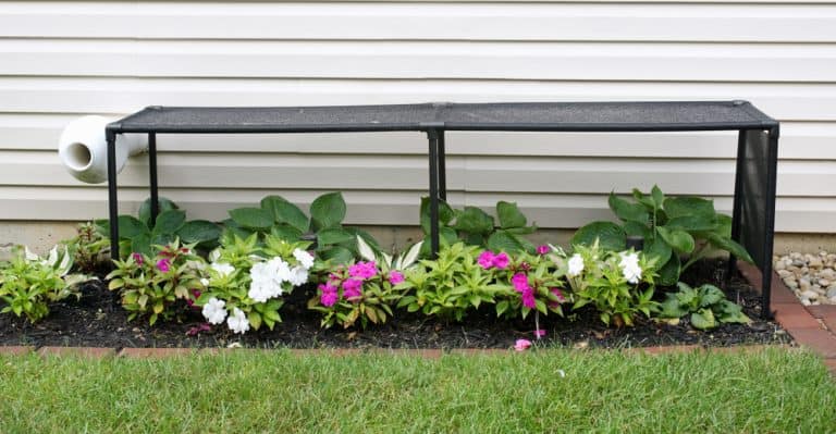 8 Ways to Create Shade for Plants (and Why) - Balcony Boss