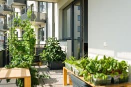 14 Ways to Block Wind on a Balcony, Porch or Patio - Balcony Boss
