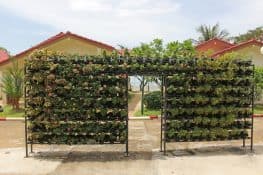14 Ways to Block Wind on a Balcony, Porch or Patio - Balcony Boss