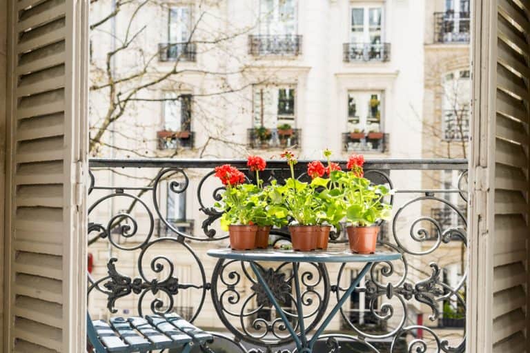 Parisian Balcony Décor – How to Get the Look - Balcony Boss
