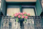 12 Best Plants for a Juliet Balcony - Balcony Boss