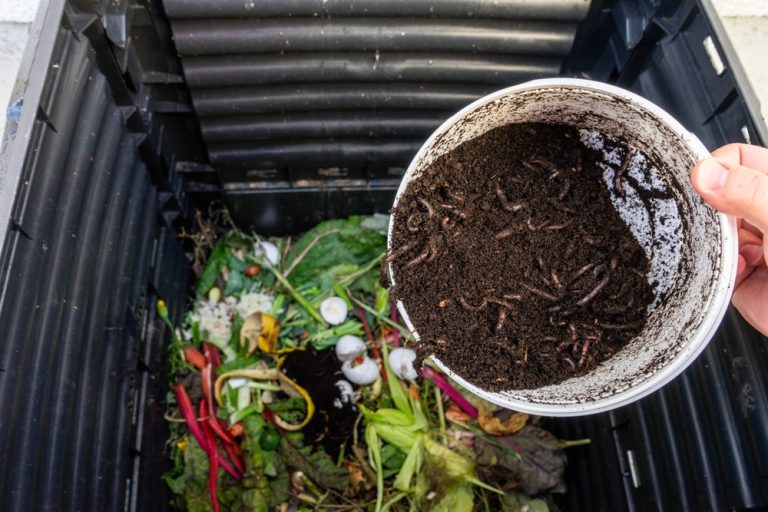 4 Ways to Compost on an Apartment Balcony - Balcony Boss